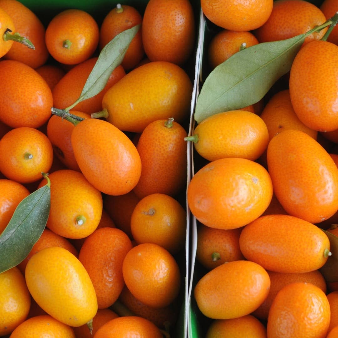 Buy Wholesale Produce The SF Market Buy Wholesale Produce The SF Market